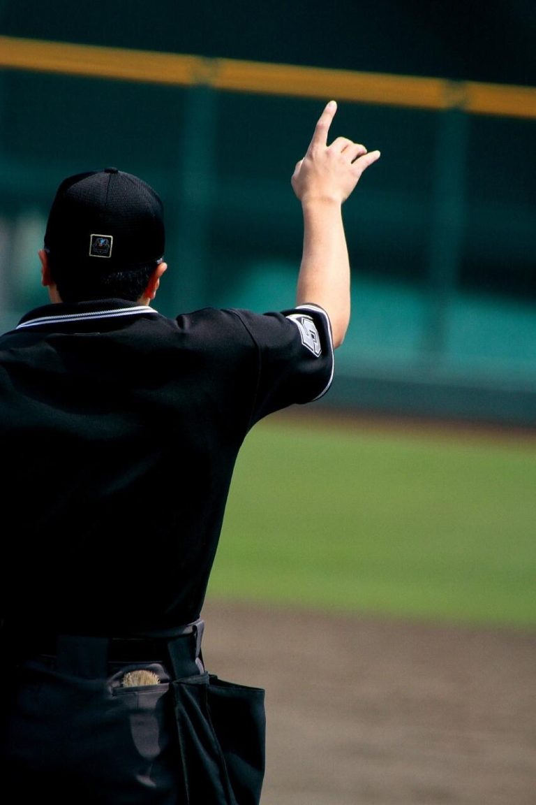プロ野球審判員の給料年収は？高校野球審判との給料比較についても調査 野球好きcom 